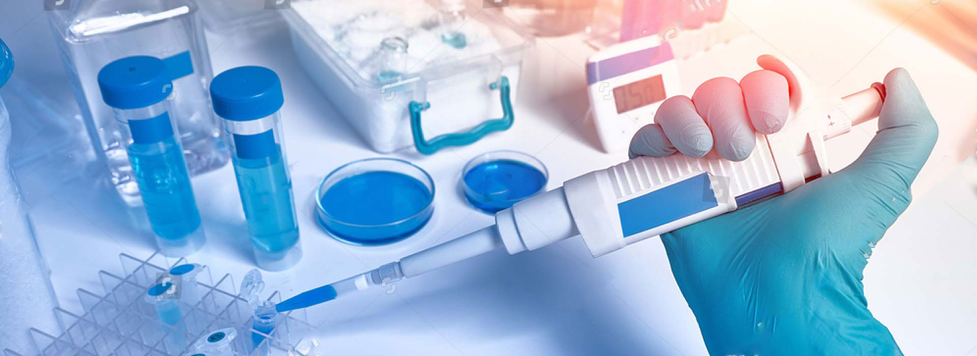 Quality Control - BEL India